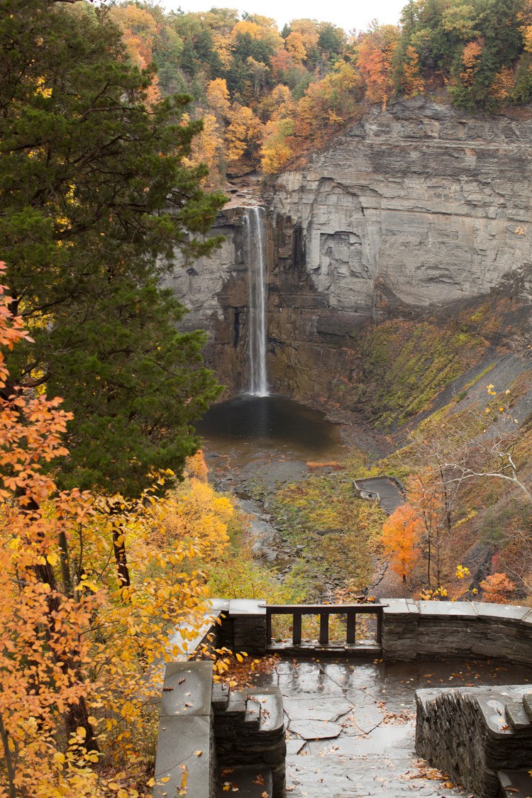 Alumni tips for making the most of the Cornell experience - Alumni ...