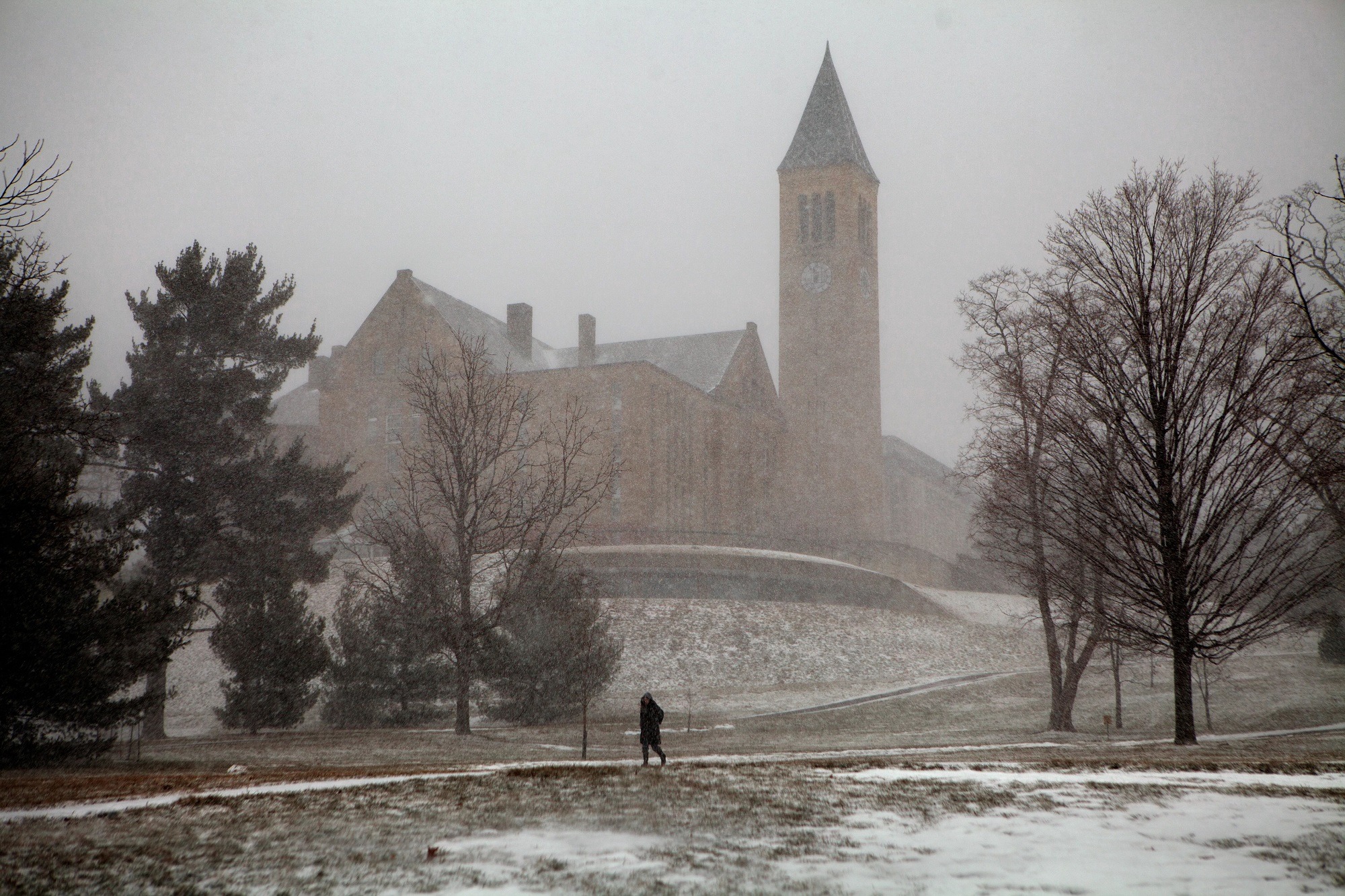 DIY this cozy Cornell light box! - Alumni, parents, and friends ...