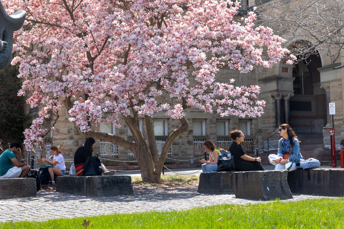 Cornell University Spring