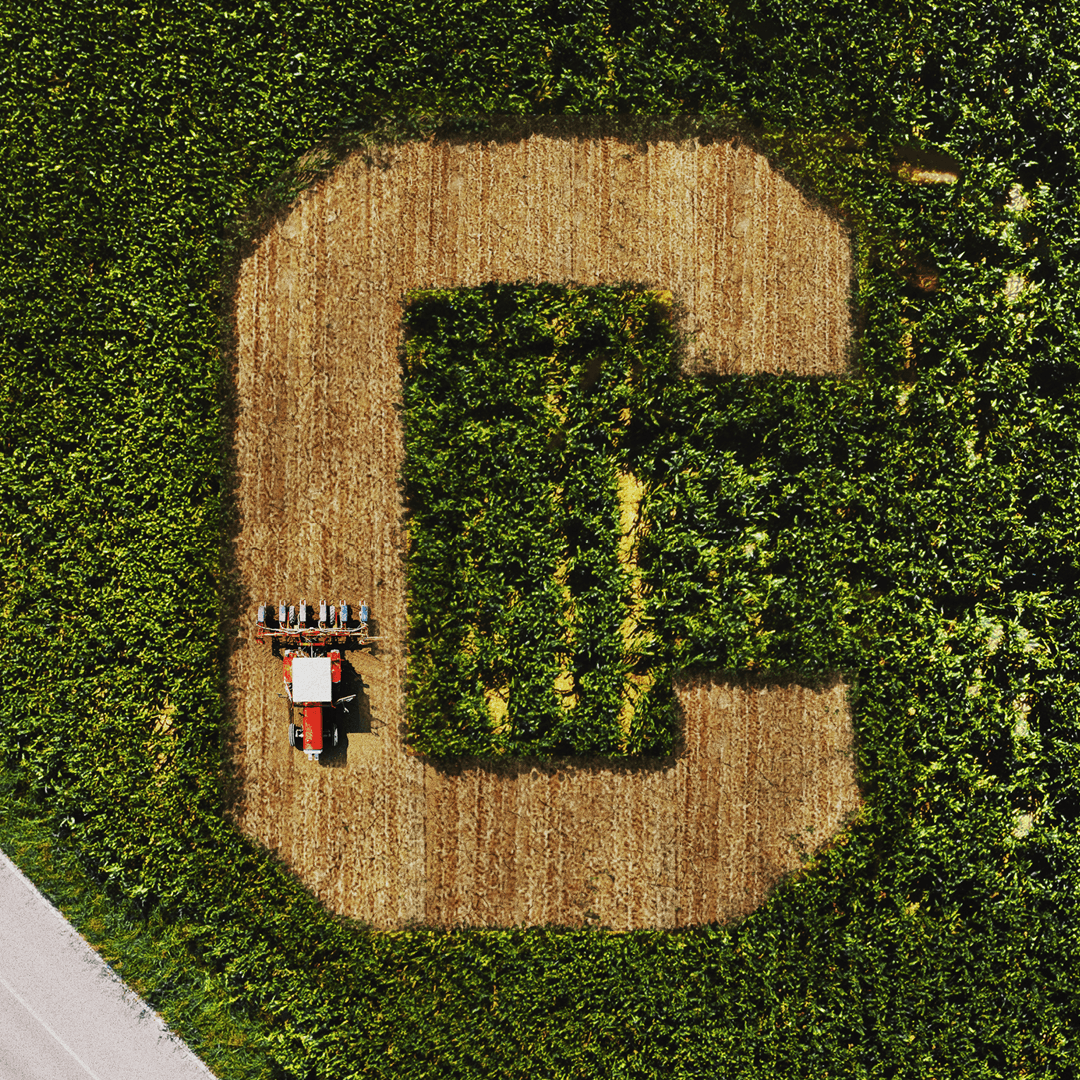 Campaign downloads - Alumni, parents, and friends | Cornell University