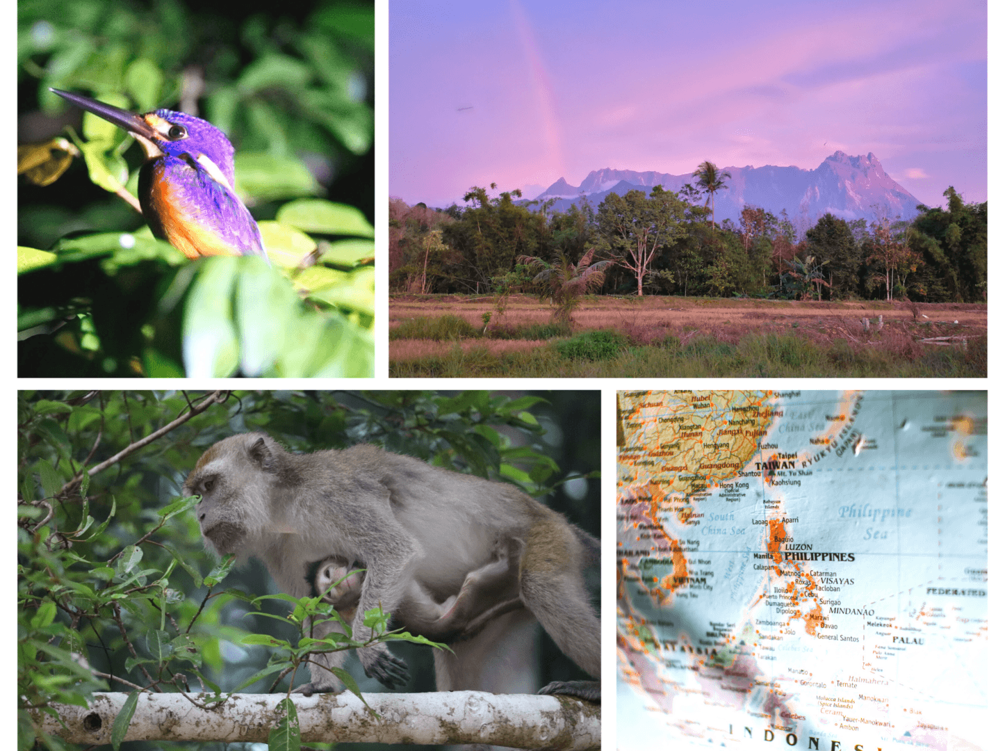 CAU tours with Cornell faculty - Alumni, parents, and friends | Cornell ...