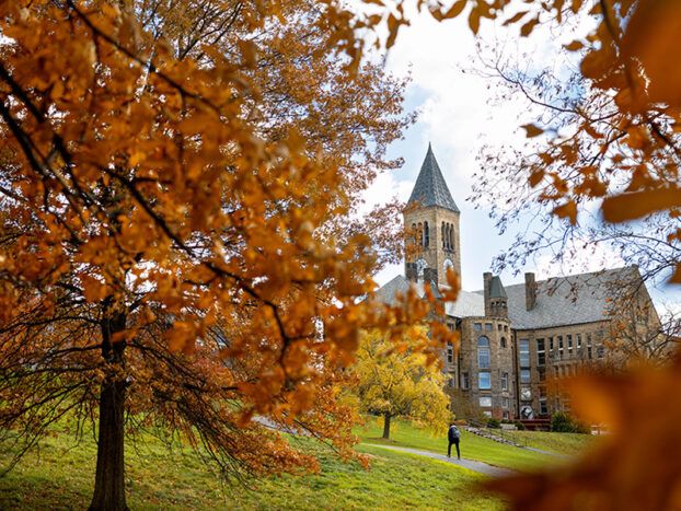 Frank H. T. Rhodes Exemplary Alumni Service Award