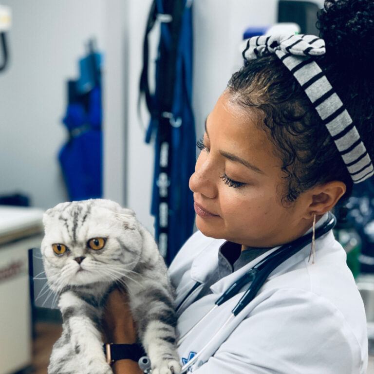 Alum launches diversity certification for vet hospitals - Alumni ...