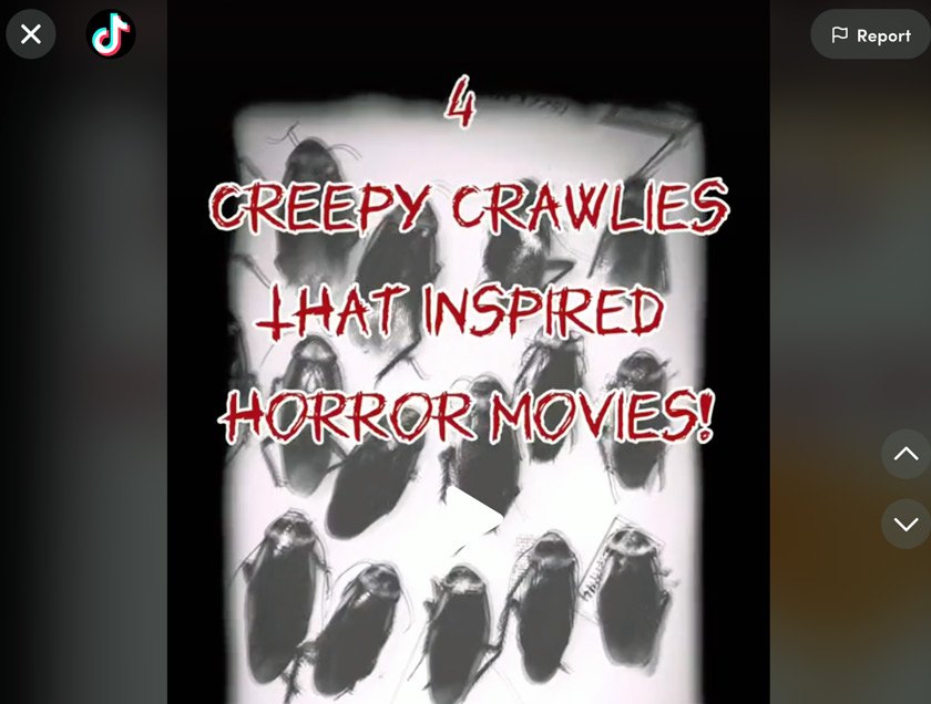 Fun with the Cornell Insect Collection - Alumni, parents, and friends ...