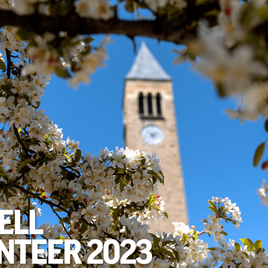 Thank you, volunteers! - Alumni, parents, and friends | Cornell University