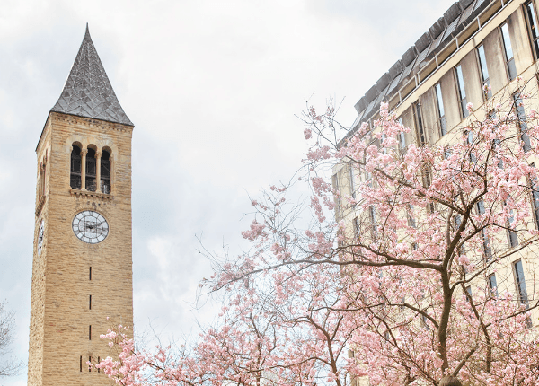 Alumni-elected trustees - Alumni, parents, and friends | Cornell University