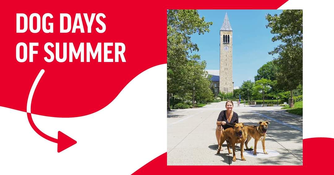 Dog Days of Summer - Alumni, parents, and friends | Cornell University