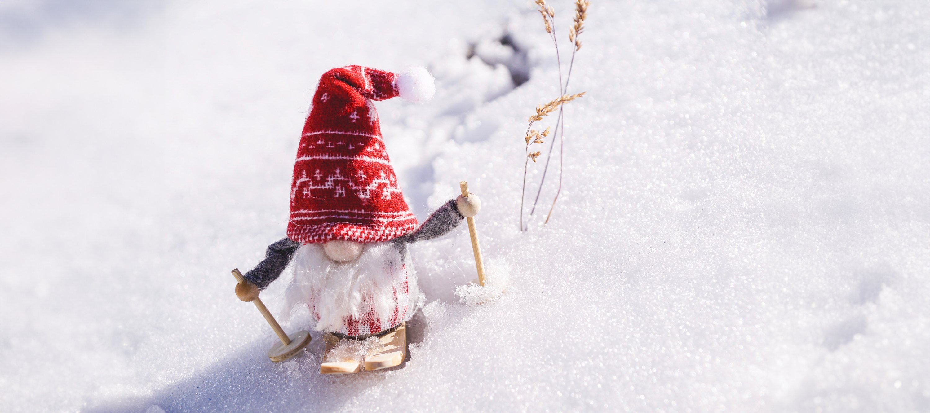 Snow day starter pack - Alumni, parents, and friends | Cornell University