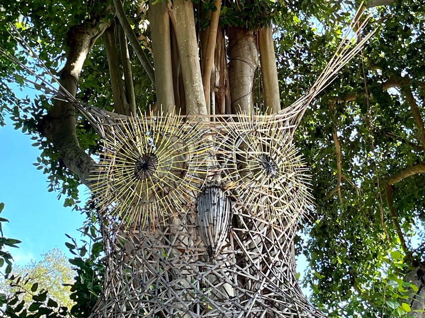 Making magic in Florida: Cornellians celebrate art, nature, and local ...