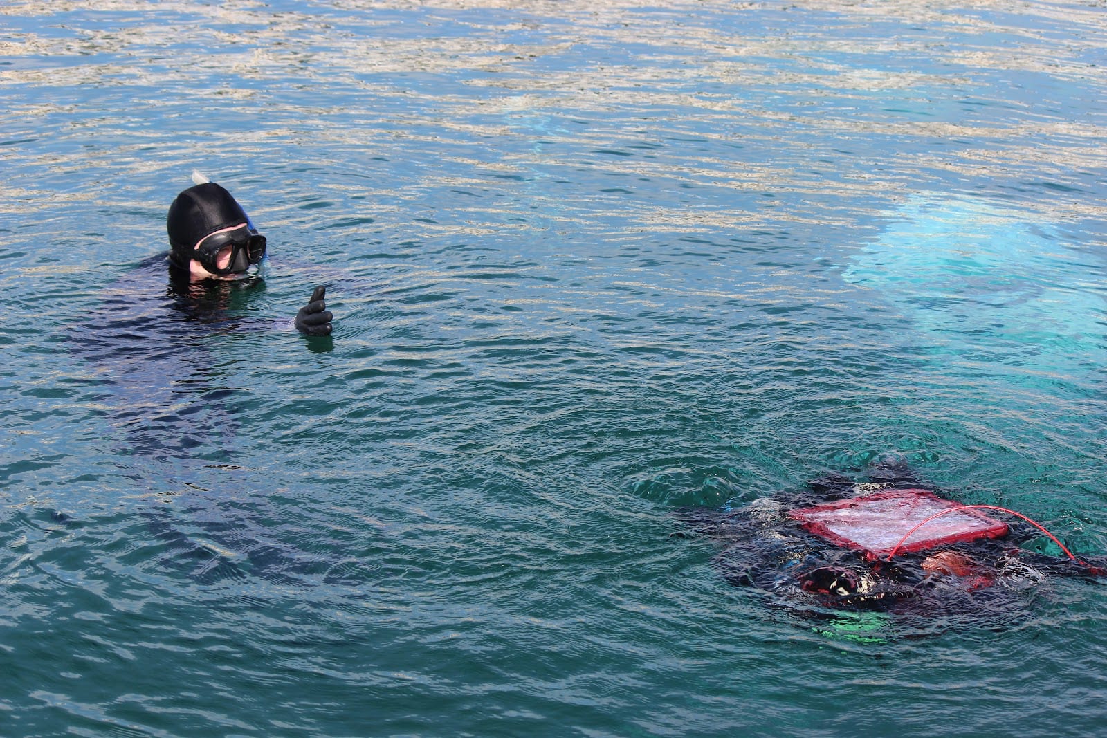 Cornell University Autonomous Underwater Vehicle floats to victory in crowdfunding burst ...