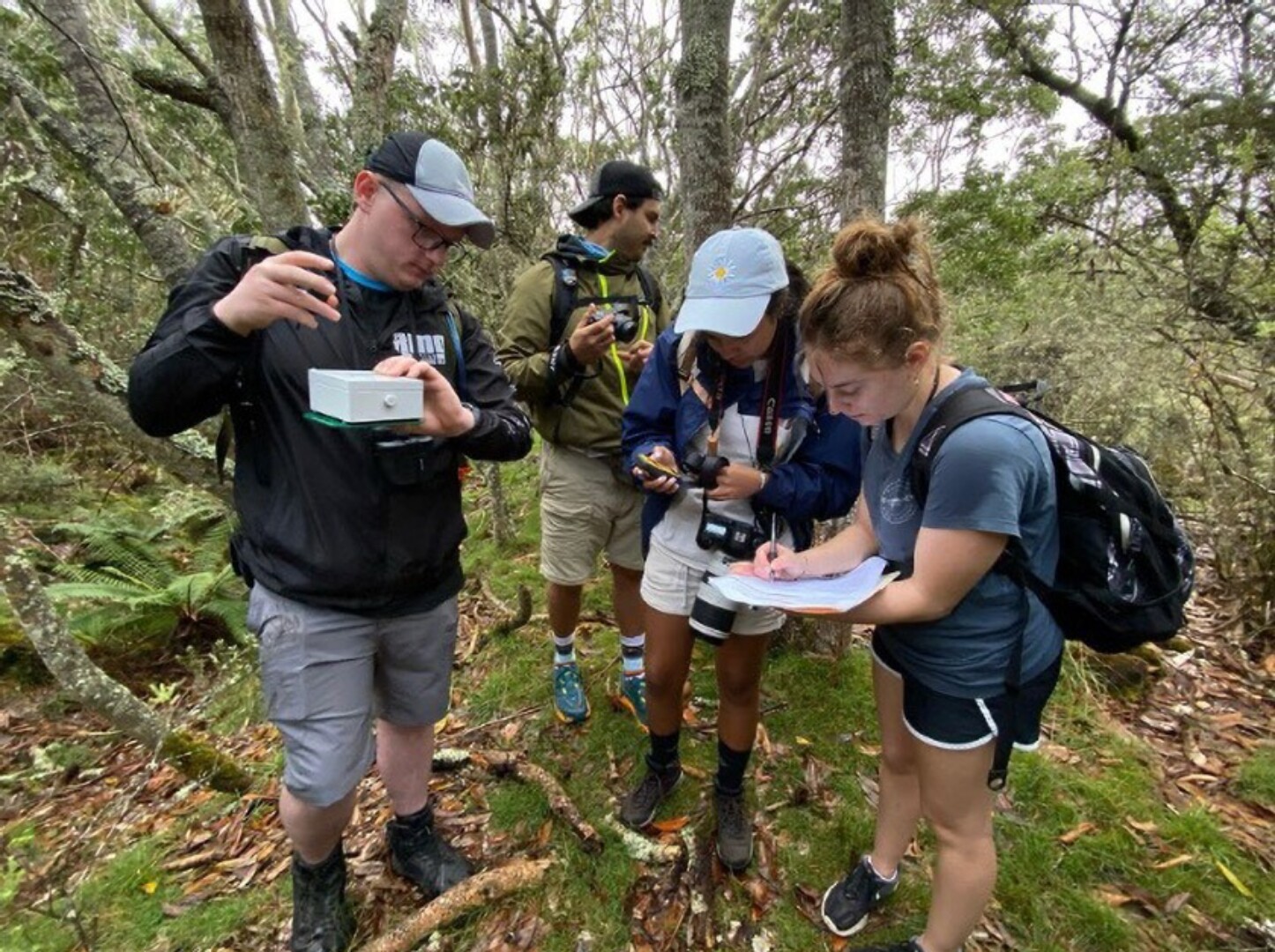 Listening in: Bioacoustics class records the sounds of Hawaiʻi - Alumni ...
