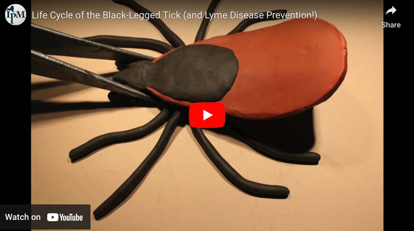 Learn how to protect yourself from ticks - Alumni, parents, and friends ...