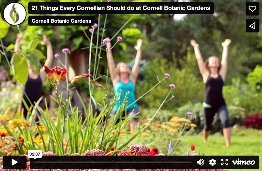 21 things to do at Cornell Botanic Gardens - Alumni, parents, and ...
