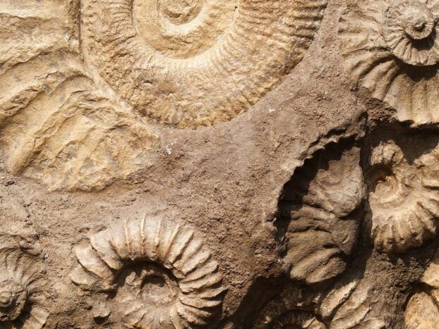 CAU Summer - Alumni, parents, and friends | Cornell University