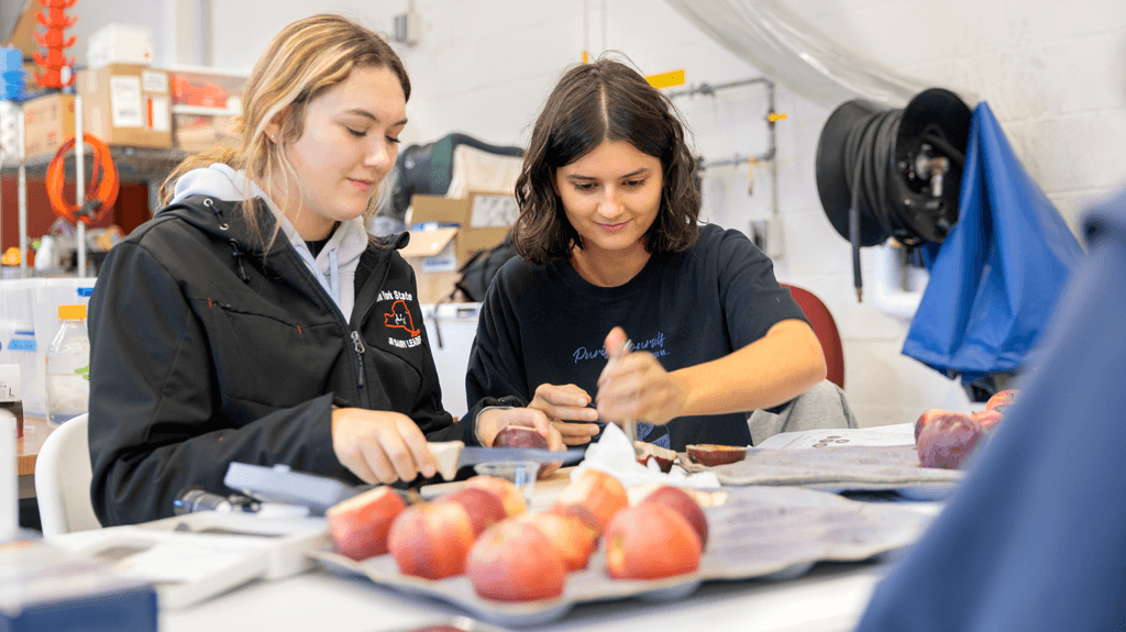 More than 70 apple varieties developed at Cornell since 1880 - Alumni ...