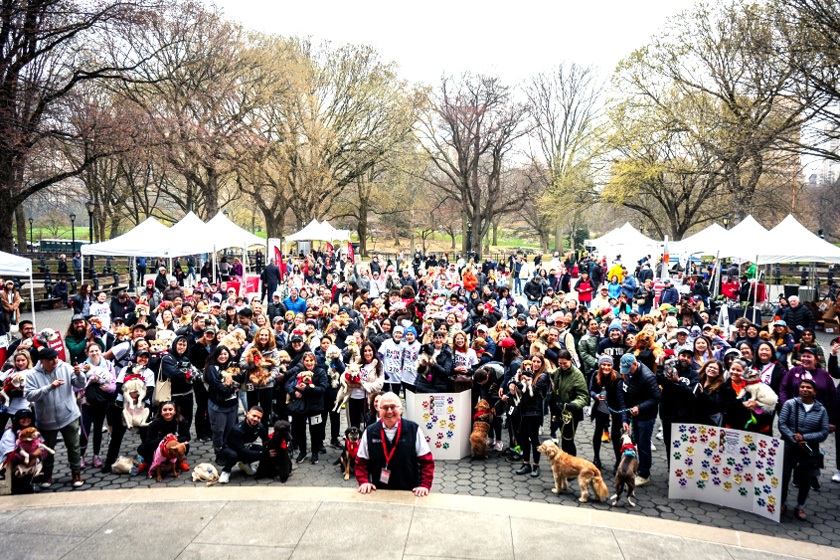 People and their dogs enjoy Bark in the Park 5K - Alumni, parents, and ...