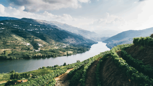 CAU Study Tour: Douro Valley - Alumni, parents, and friends | Cornell ...