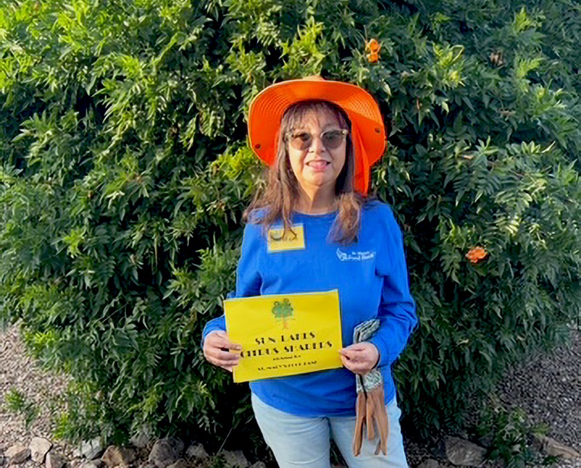 The good Cornellians can do: Mariangela (Nicolosi) Noyes '86 - Alumni ...