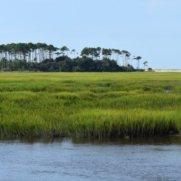 CAU Study Tour: Celebrating Gullah Geechee Culture in Georgia and South ...