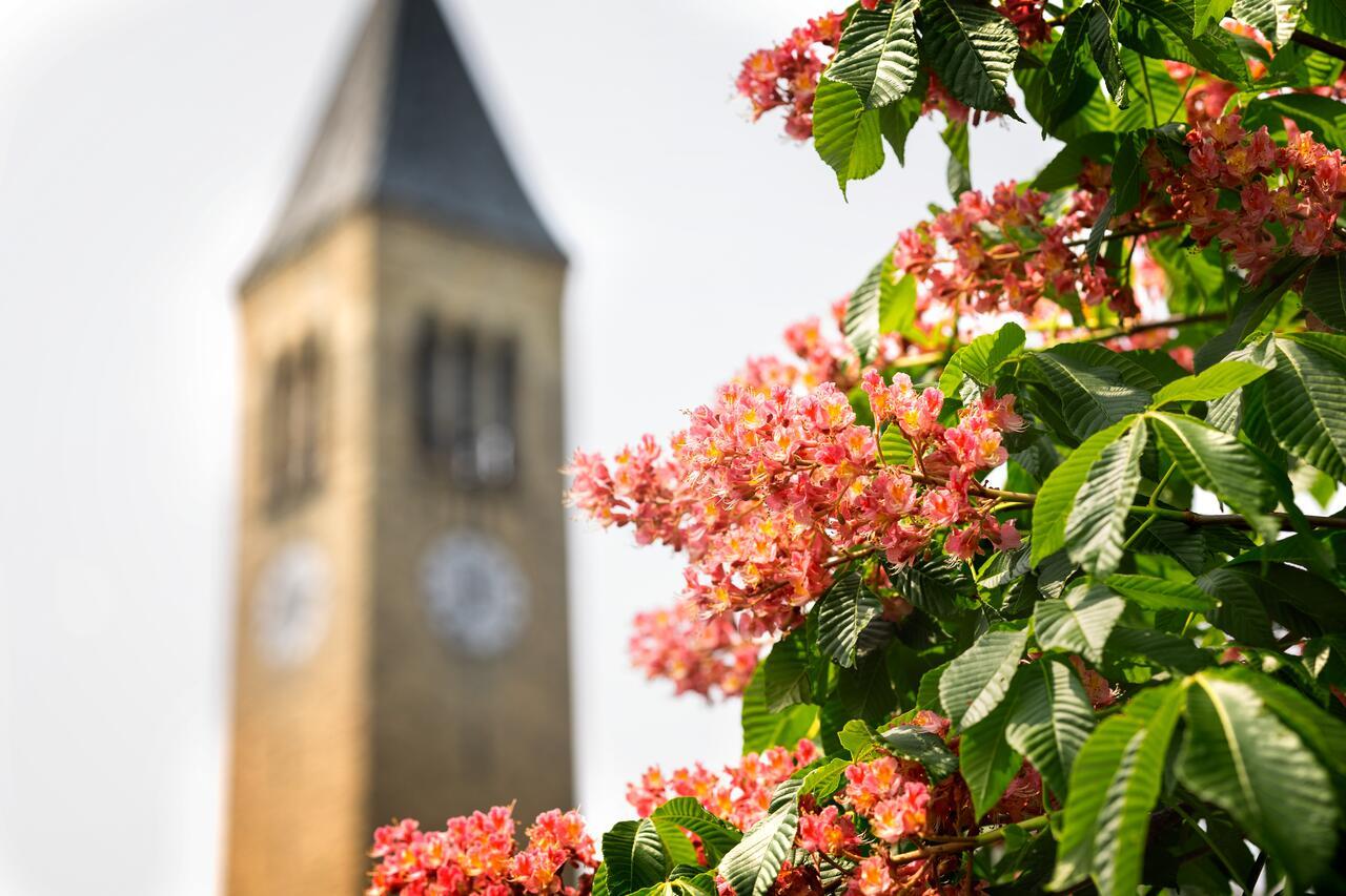 Ivy+ Annual Giving - Alumni, parents, and friends | Cornell University