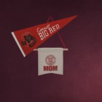 Zoom Virtual Backgrounds - Alumni, parents, and friends | Cornell ...