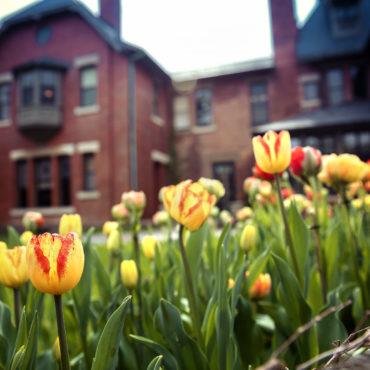 Zoom Virtual Backgrounds - Alumni, parents, and friends | Cornell ...